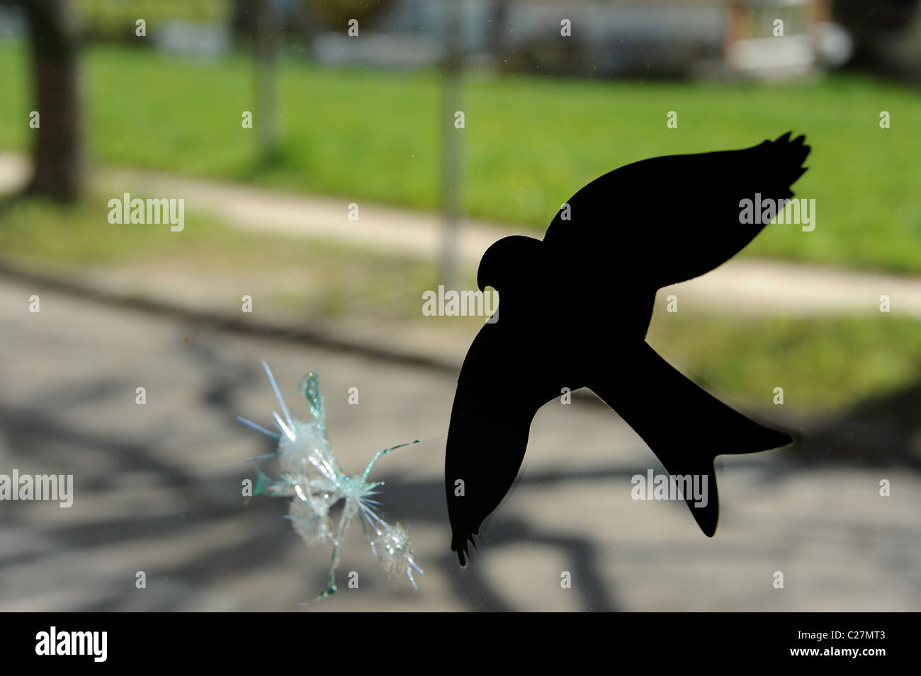 A cracked window with a picture of a bird flying past. Basel ...