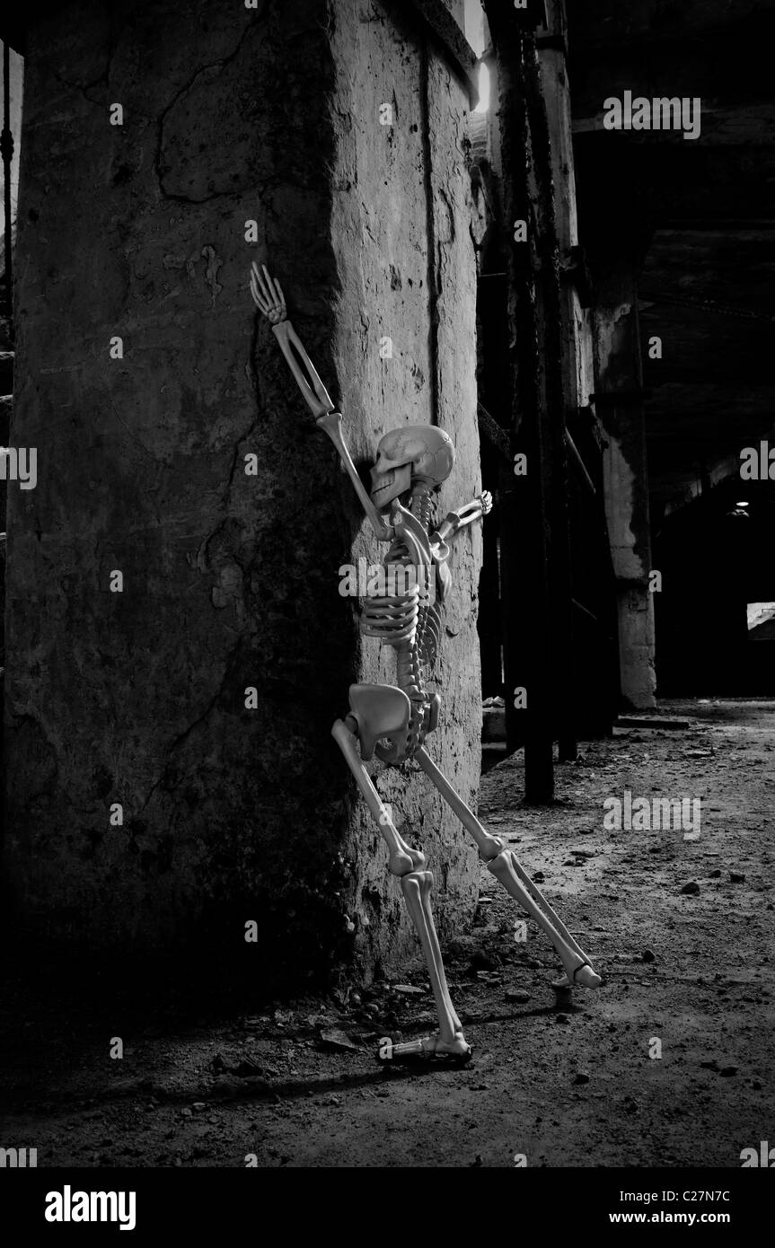 Human skeleton hi-res stock photography and images - Alamy