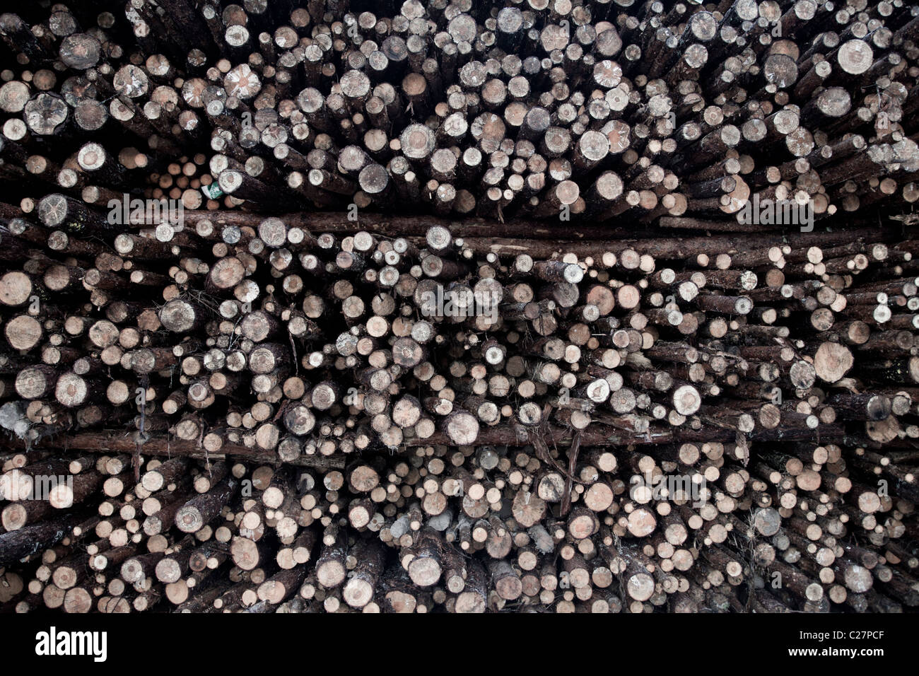 Pine ( pinus sylvestris ) log pile , Finland Stock Photo - Alamy