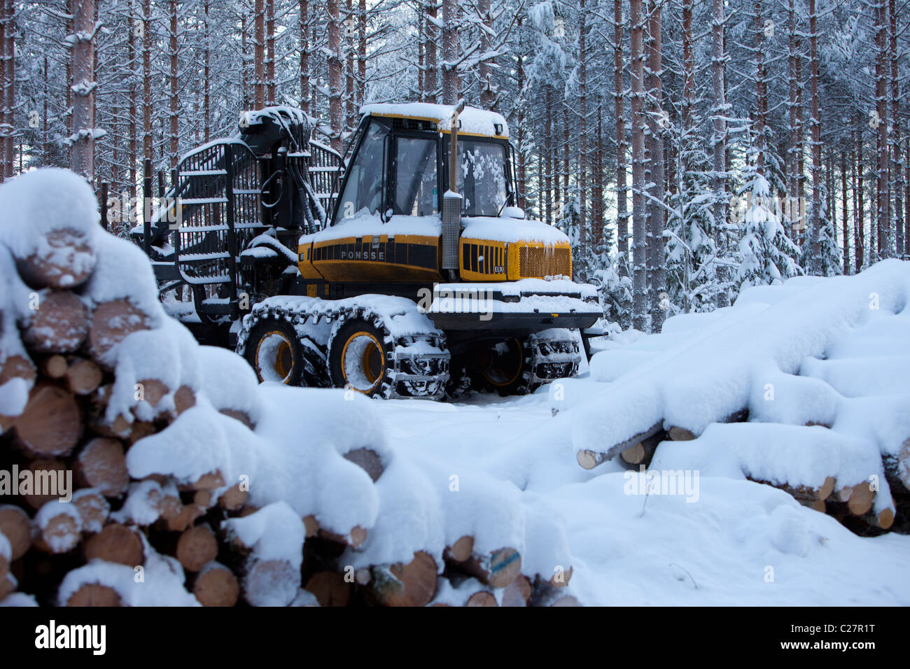 Modern logging equipment hi-res stock photography and images - Alamy