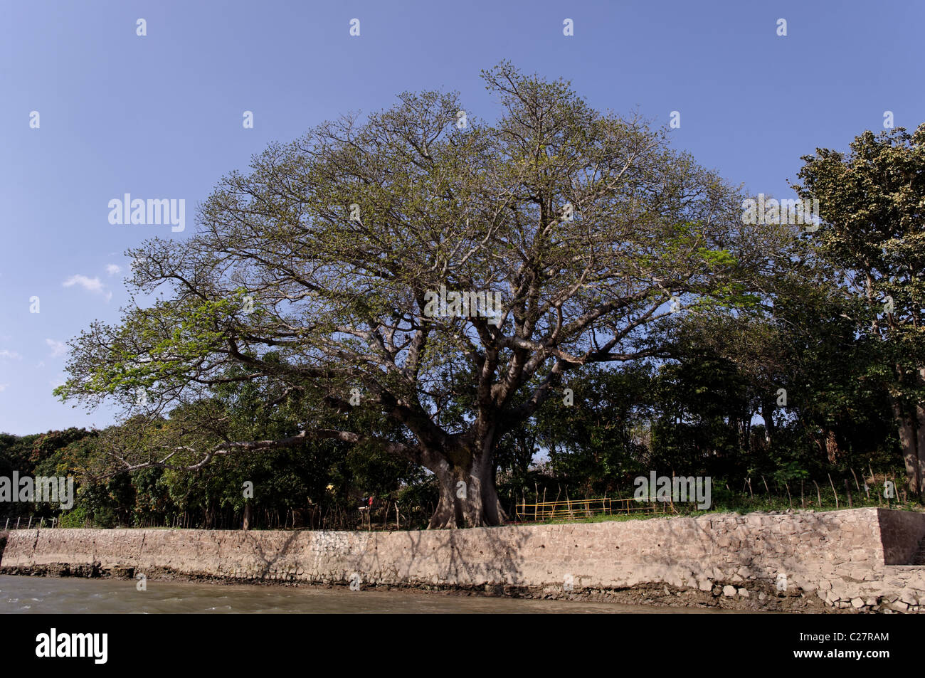 Grijalva River Stock Photos & Grijalva River Stock Images - Alamy
