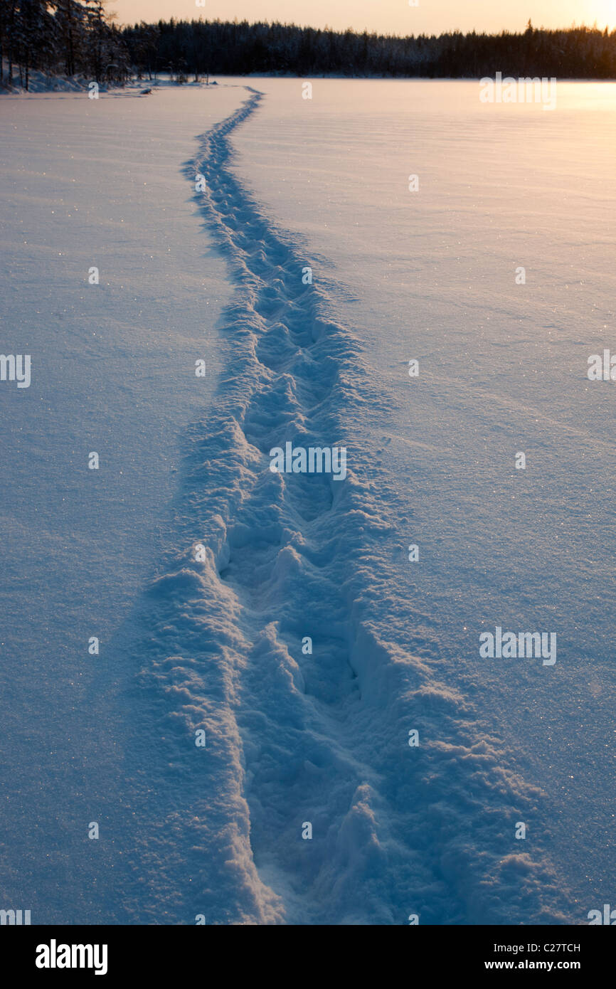 Human trail hi-res stock photography and images - Alamy