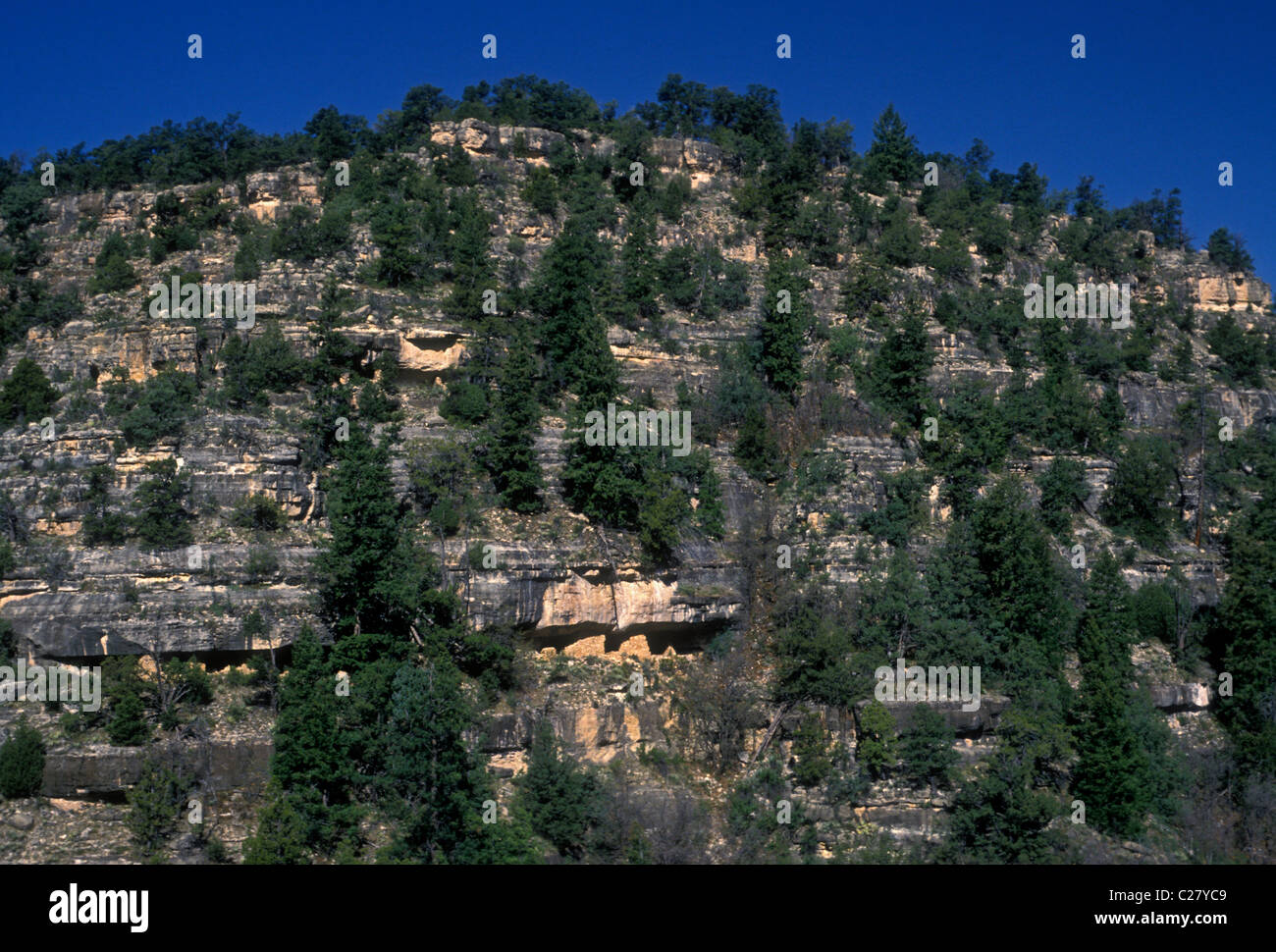 Sinagua Indian cliff dwelling, Walnut Canyon National Monument ...