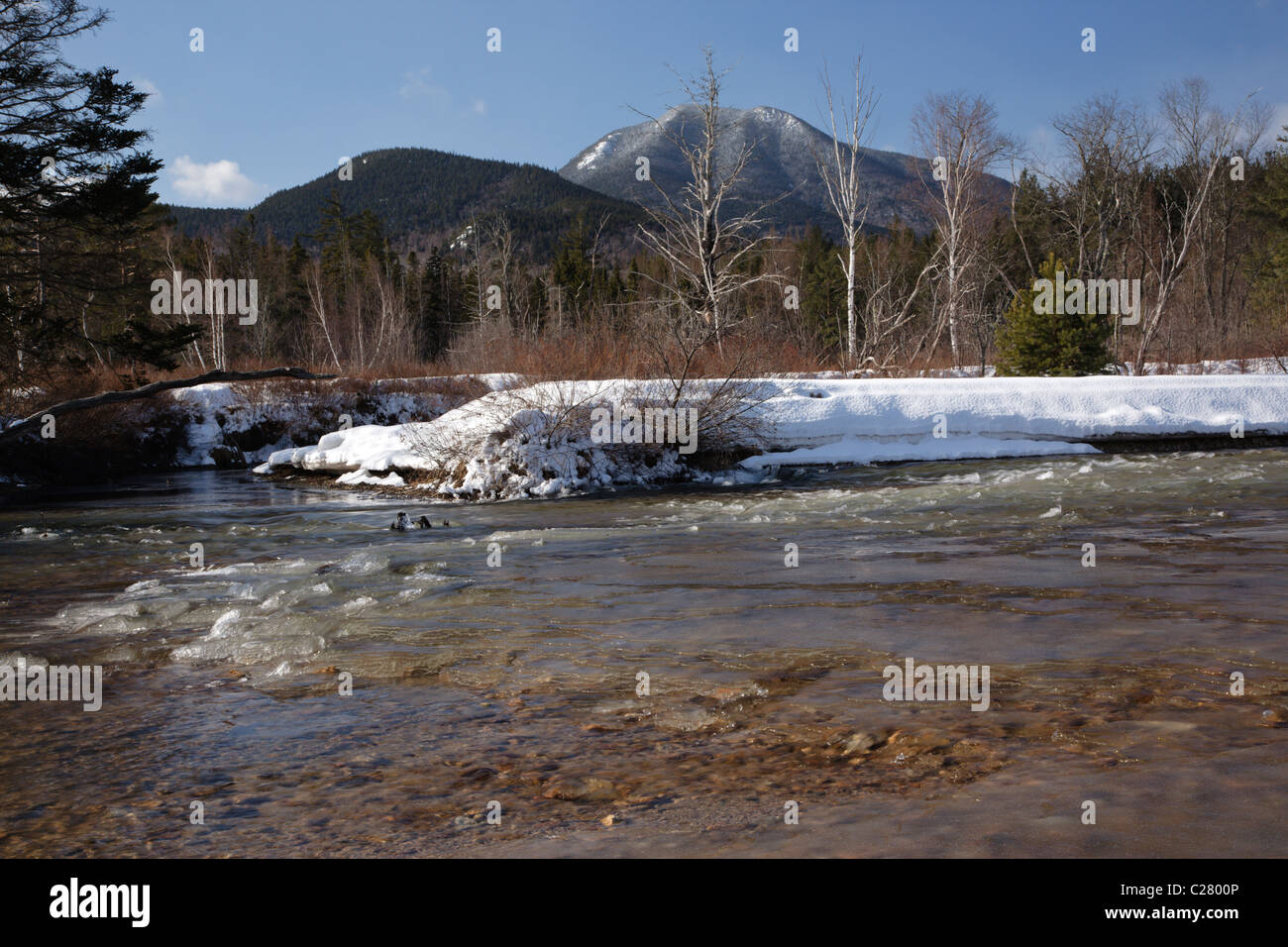White Mountain National Forest in New Hampshire USA during the spring ...