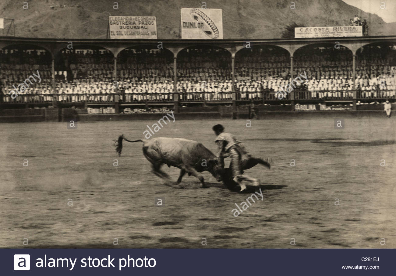 Charging Bull Black And White Stock Photos & Charging Bull Black And ...