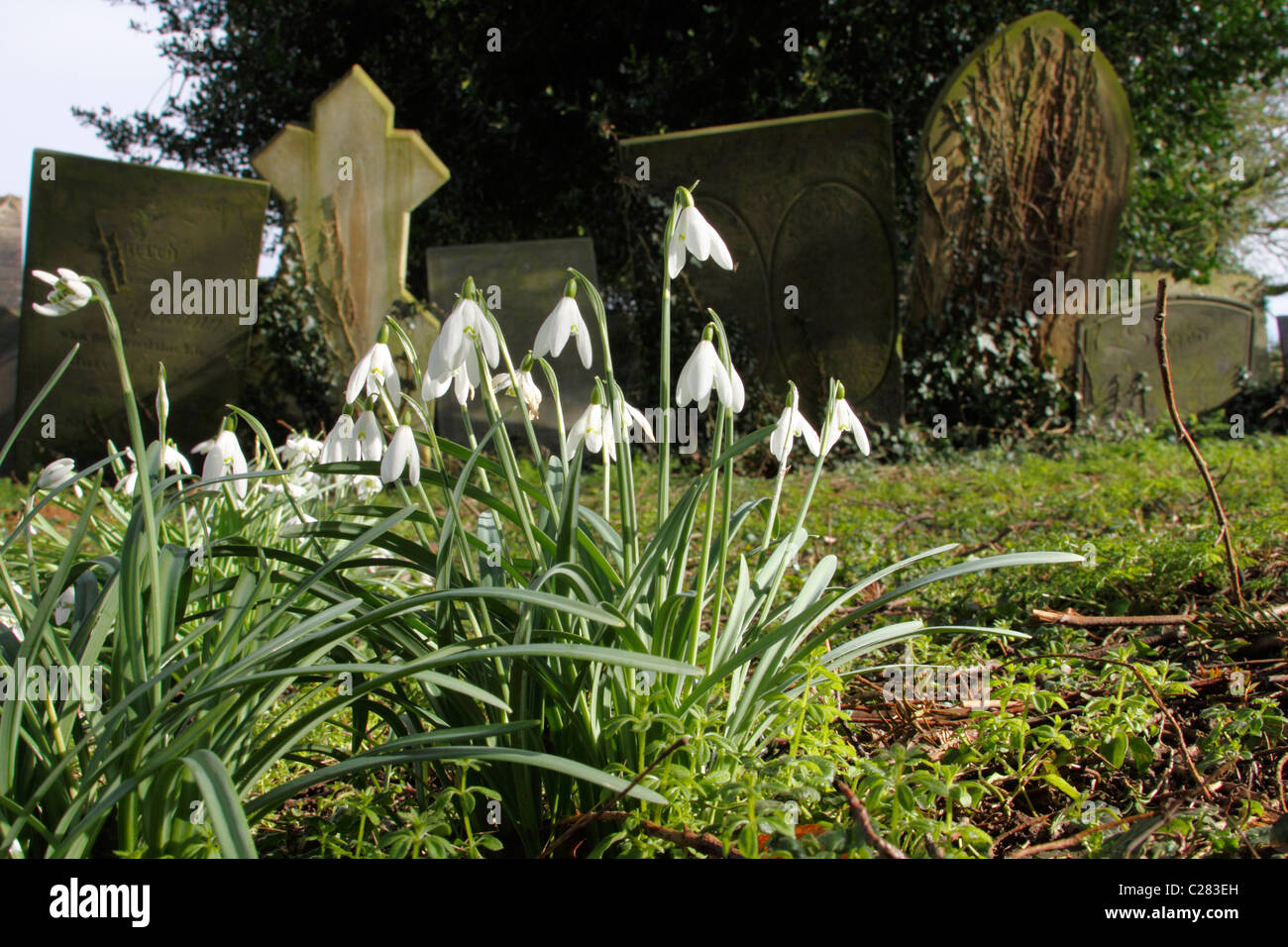 Cemetory hi-res stock photography and images - Alamy