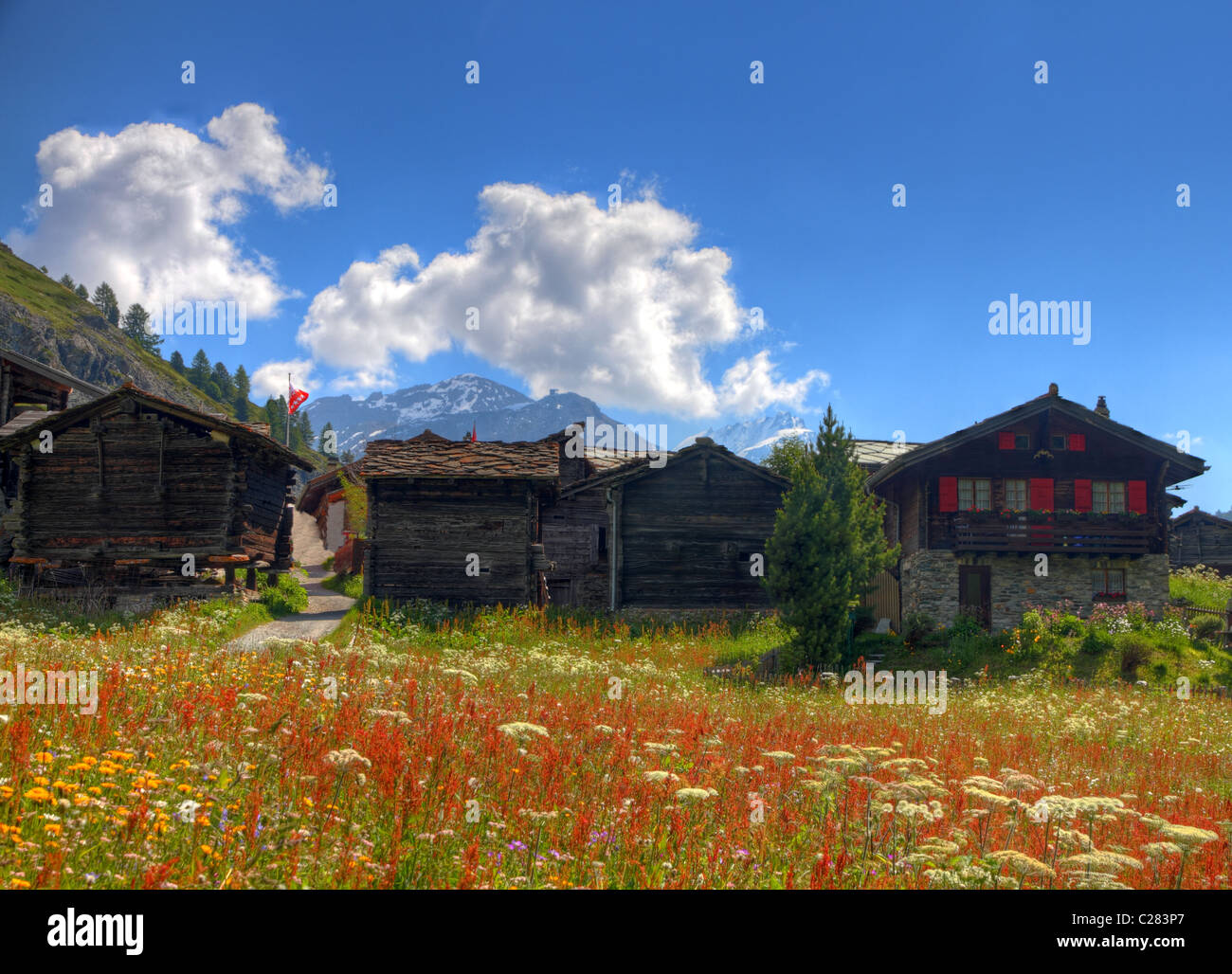 swiss village settlement of wooden houses on a flower meadow in front ...