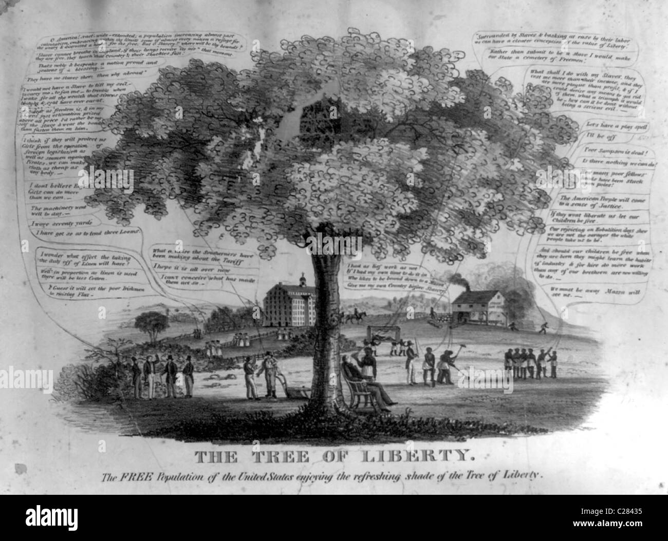 Liberty tree hi-res stock photography and images - Alamy