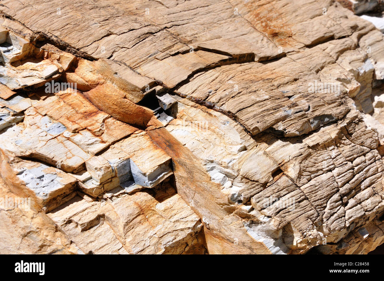 Petrified rose hi-res stock photography and images - Alamy