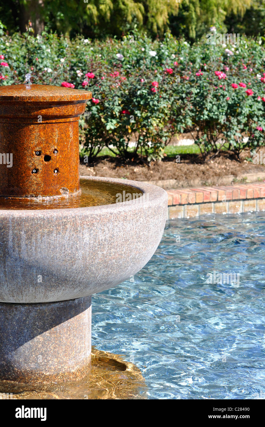 Rose Garden, Tyler, Texas Stock Photo - Alamy