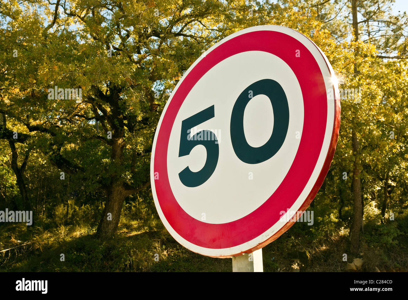 Speed Warning Road Sign with forest as background Stock Photo - Alamy