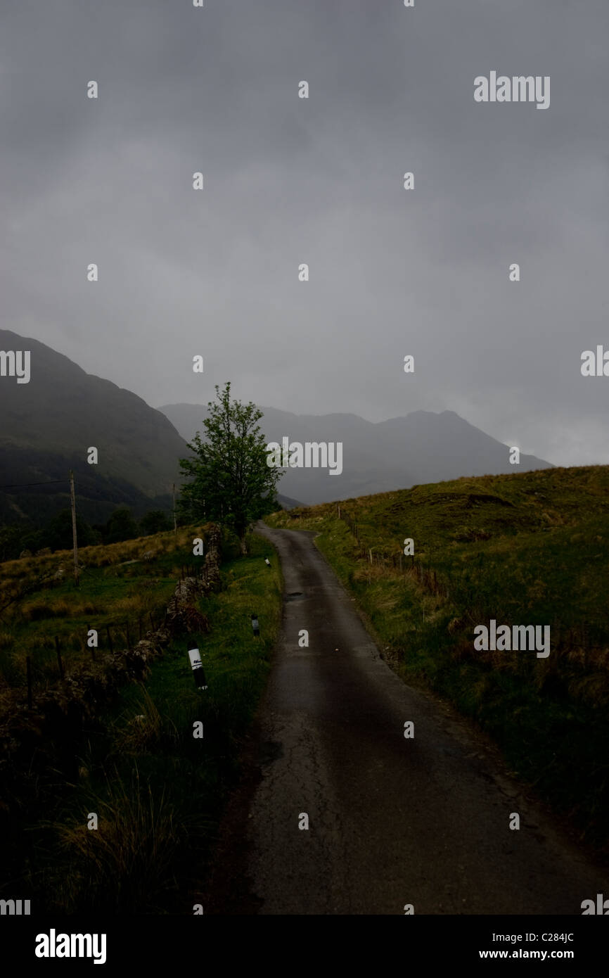 Misty heather hi-res stock photography and images - Alamy