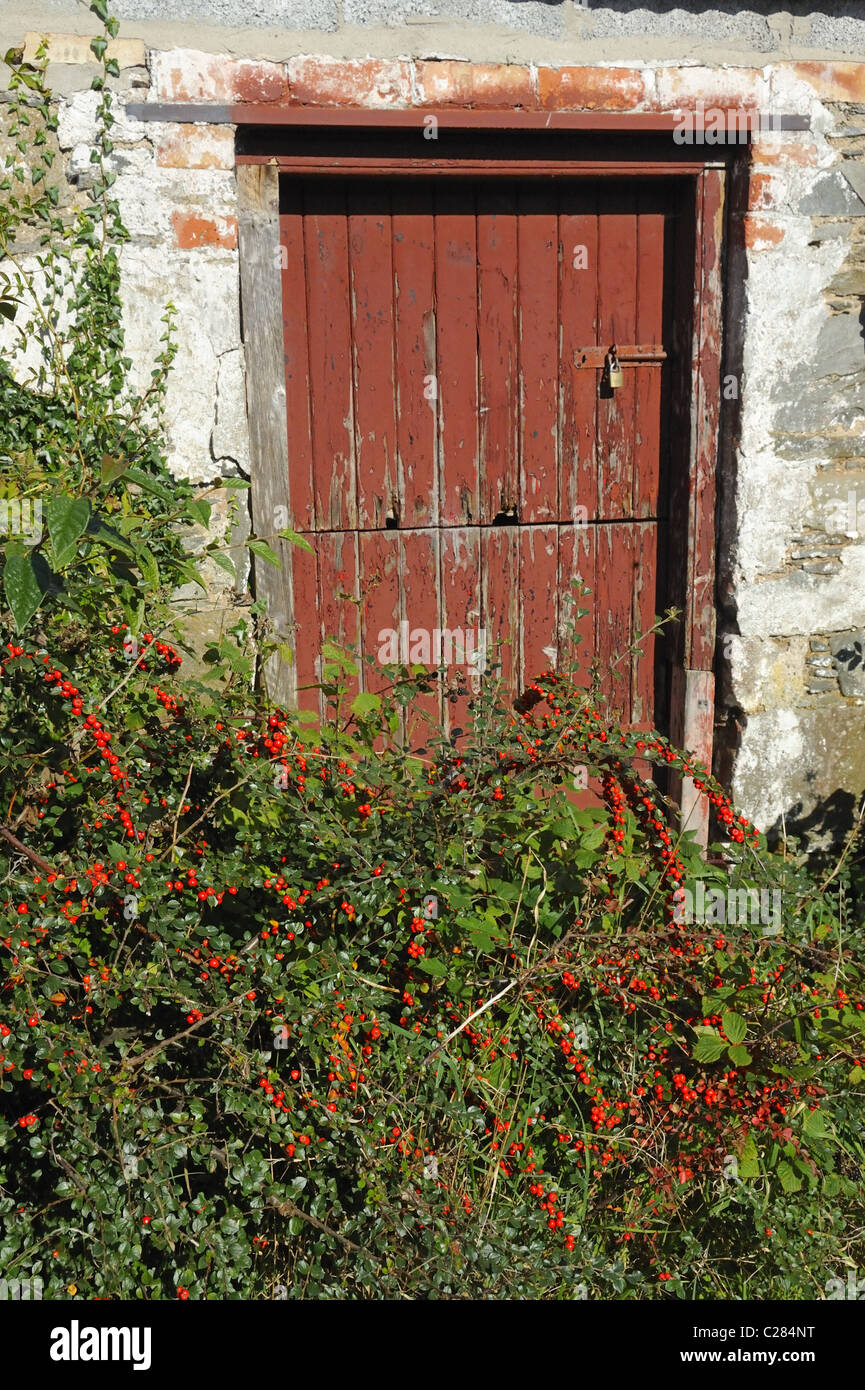 Overgrown buildings hi-res stock photography and images - Alamy