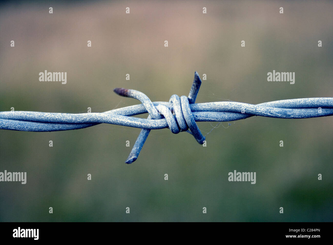 Barbed wire fencing hi-res stock photography and images - Alamy