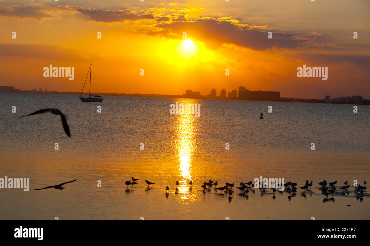 Key Biscayne at sunset, Florida, USA Stock Photo - Alamy
