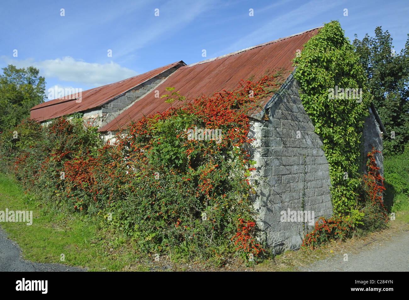 Overgrown buildings hi-res stock photography and images - Alamy