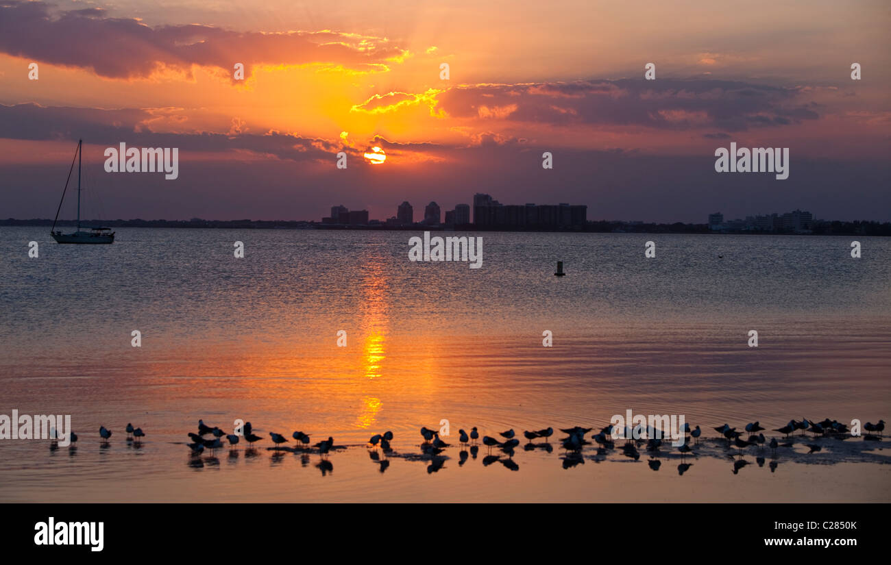 Key Biscayne at sunset, Florida, USA Stock Photo - Alamy