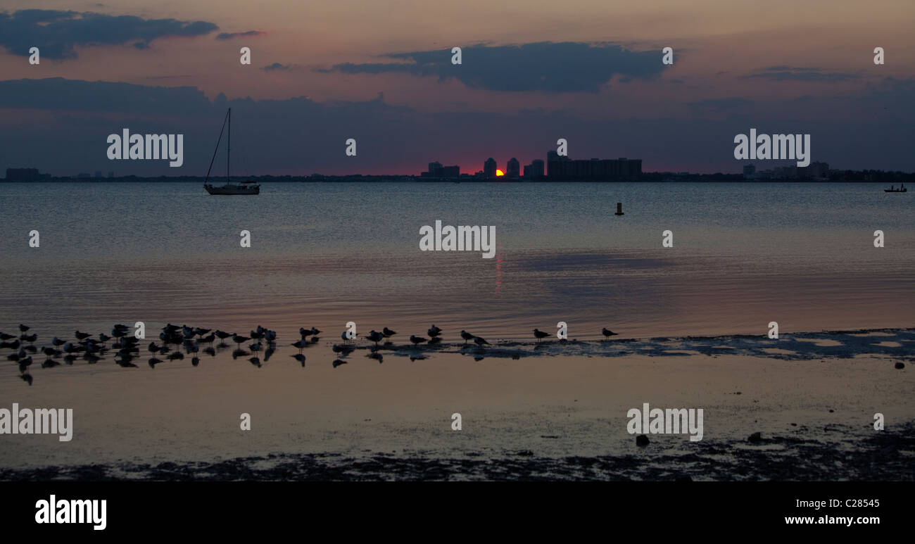 Key Biscayne at sunset, Florida, USA Stock Photo - Alamy
