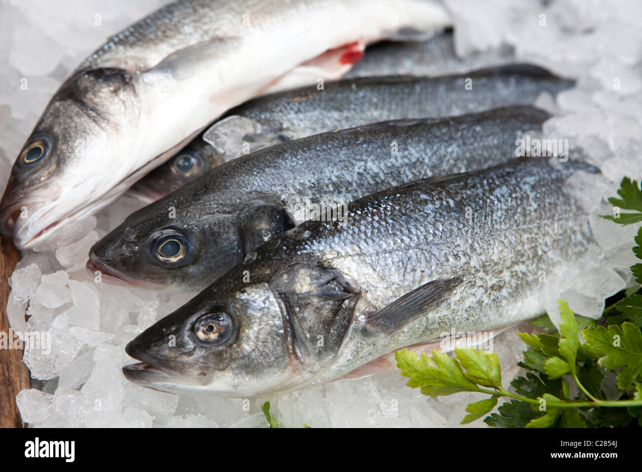 variety of fresh fish seafood in market closeup background Stock Photo ...