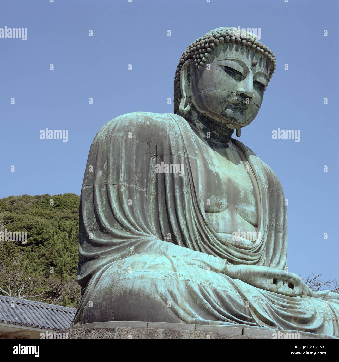 The Great Buddha of Kamakura Japan Stock Photo - Alamy