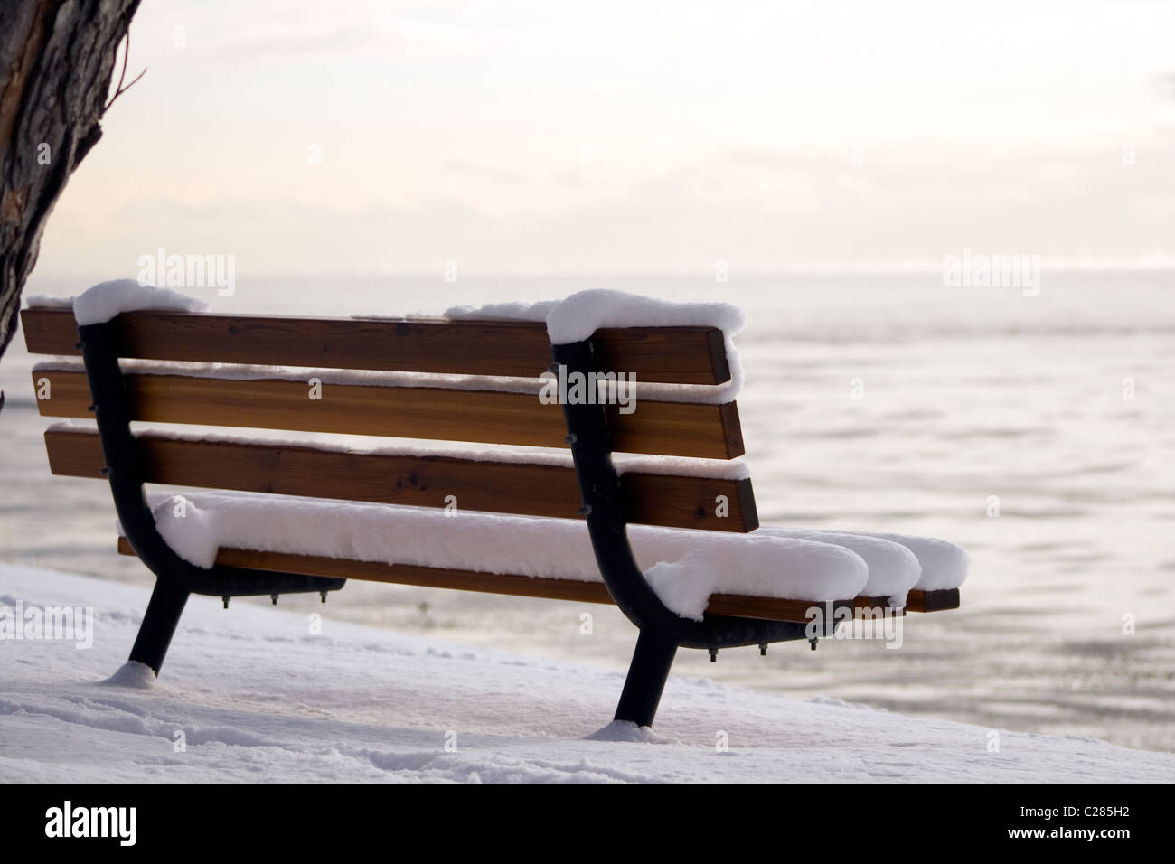 Snow covered bench hi-res stock photography and images - Alamy