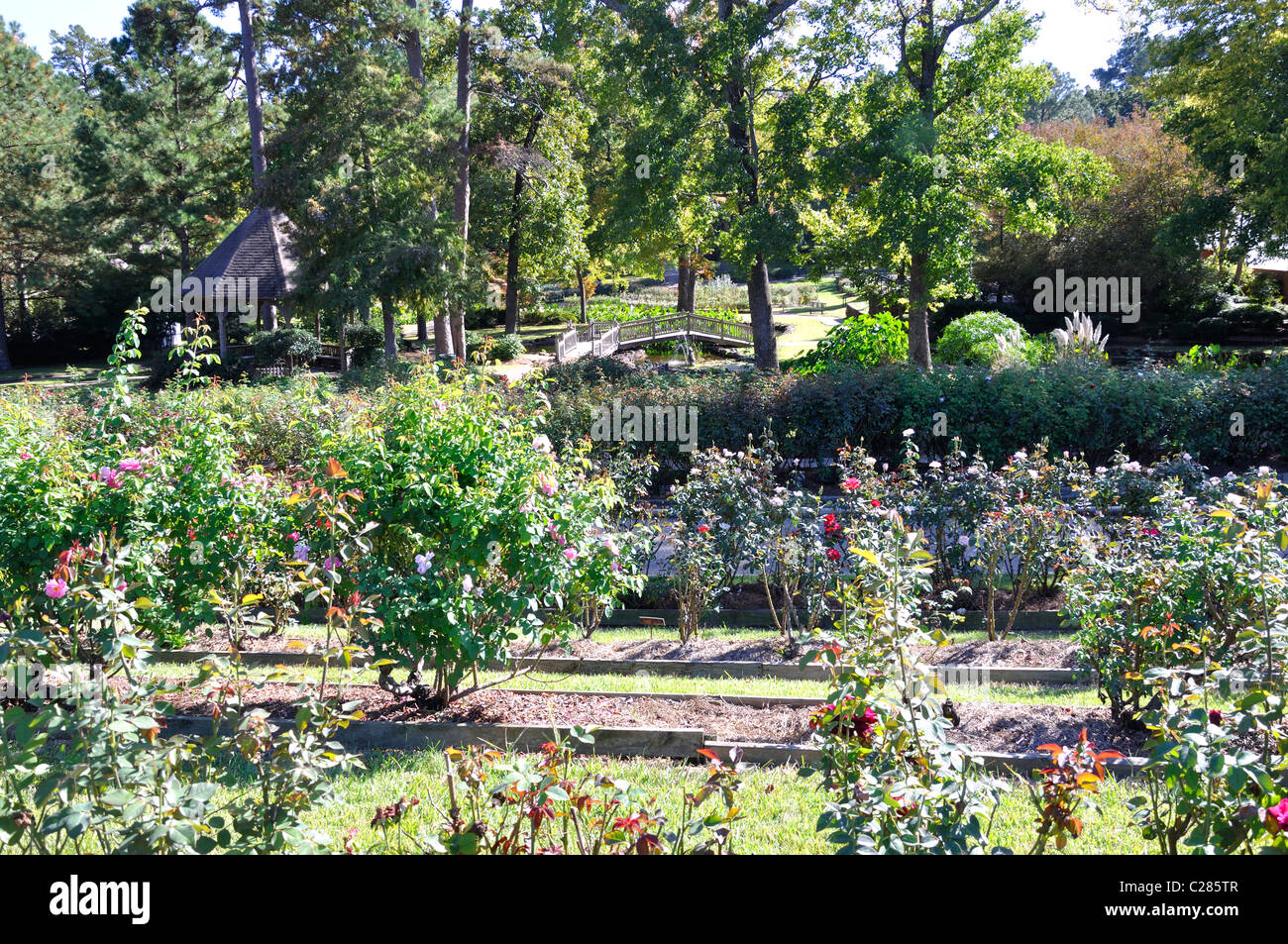 Rose Garden, Tyler, Texas - largest rose garden in the US Stock Photo ...
