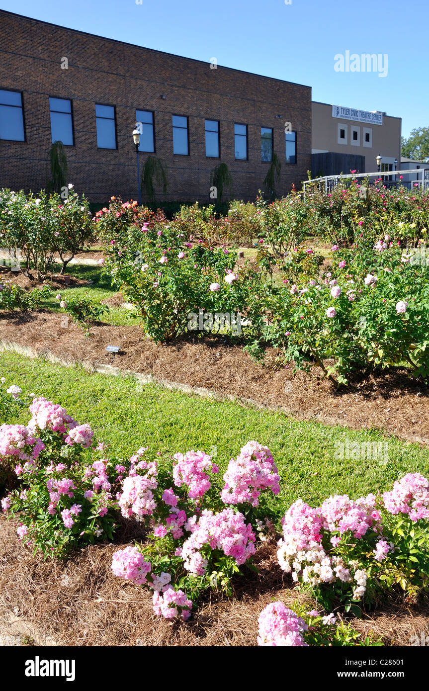Rose Garden, Tyler, Texas - largest rose garden in the US Stock Photo ...