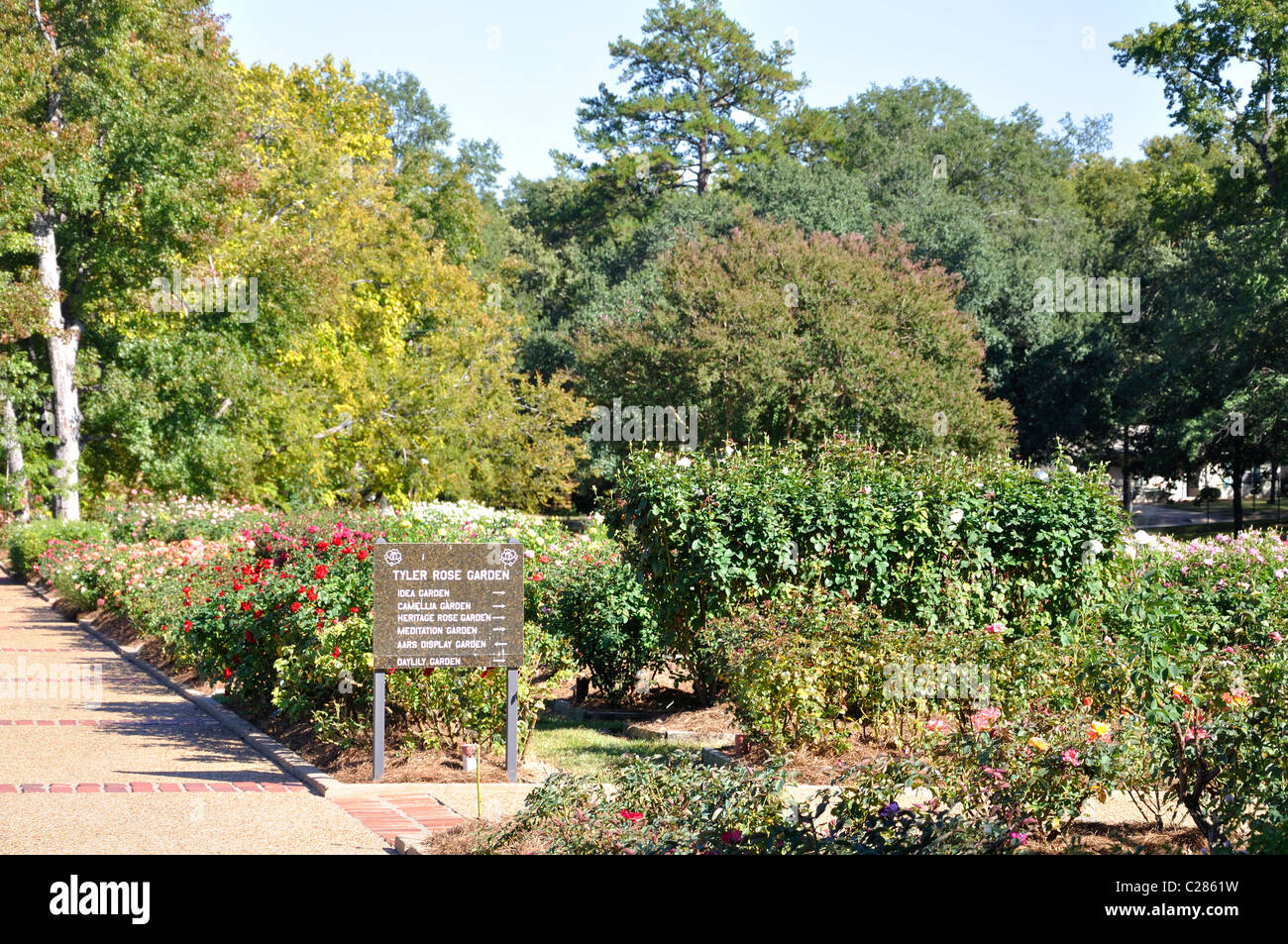 Rose Garden, Tyler, Texas - largest rose garden in the US Stock Photo ...