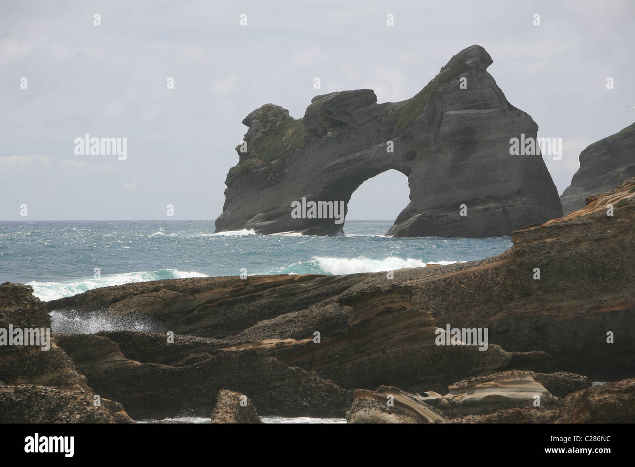 Archway Islands Near Wharariki stream South Island New Zealand Stock Photo - Alamy