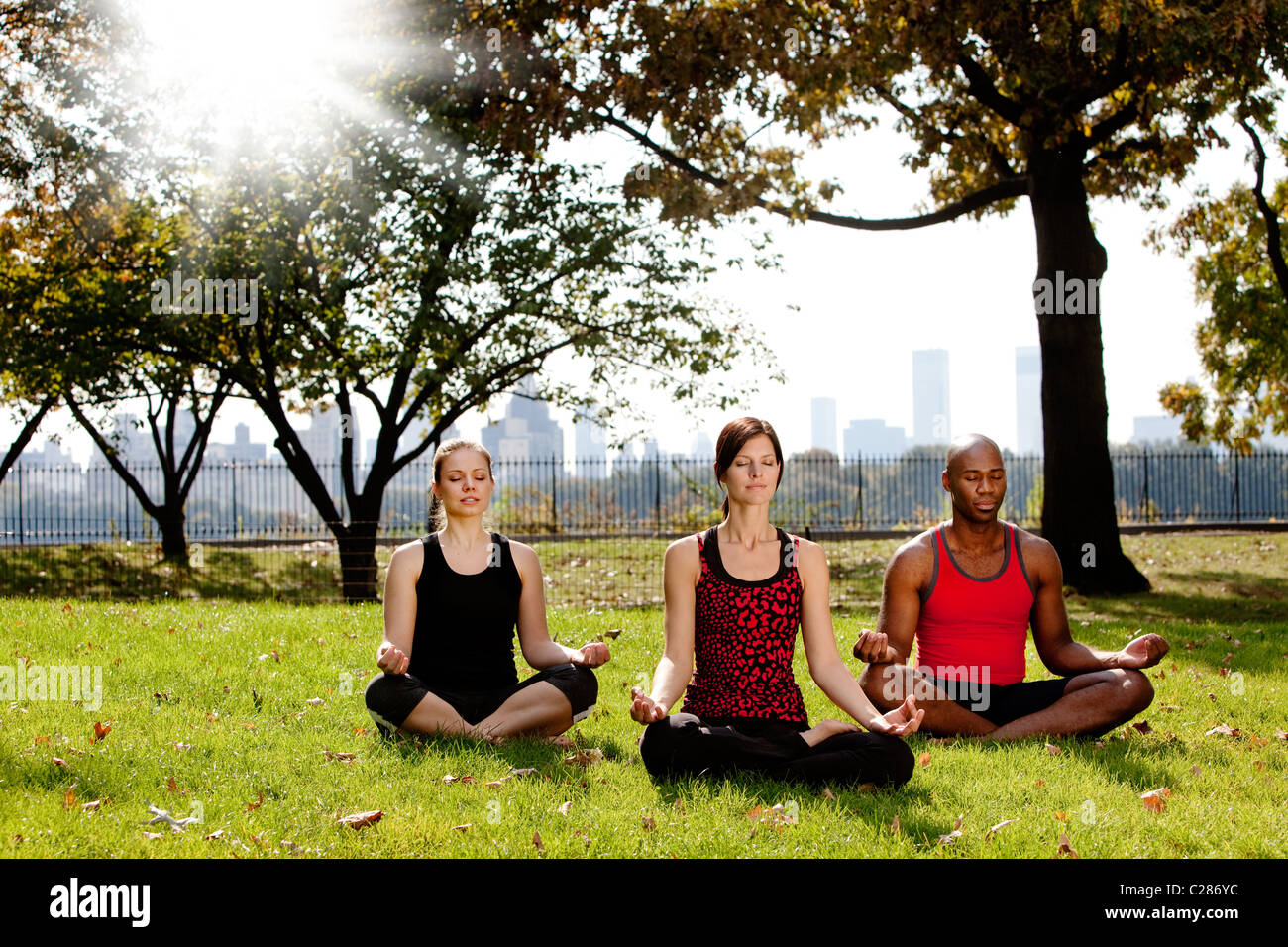 A group of people meditation in a city park Stock Photo - Alamy