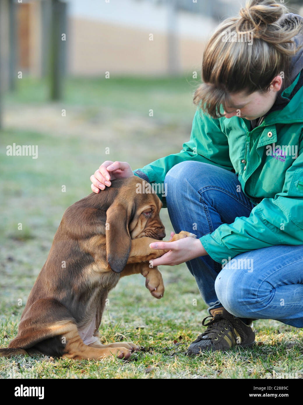 New dog meeting owner hi-res stock photography and images - Alamy
