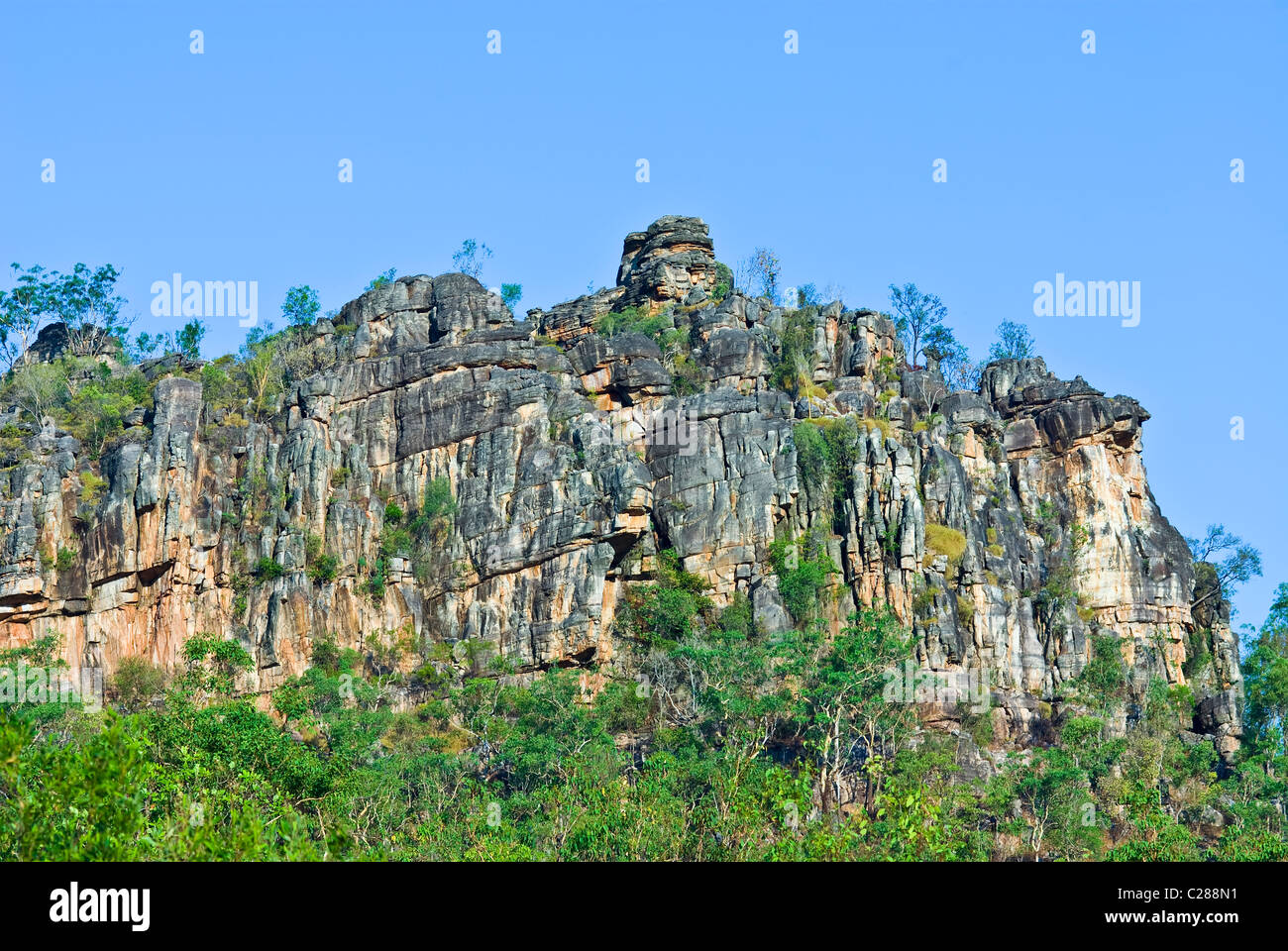 A rugged and weathered sandstone escarpment rises over a forest canopy ...