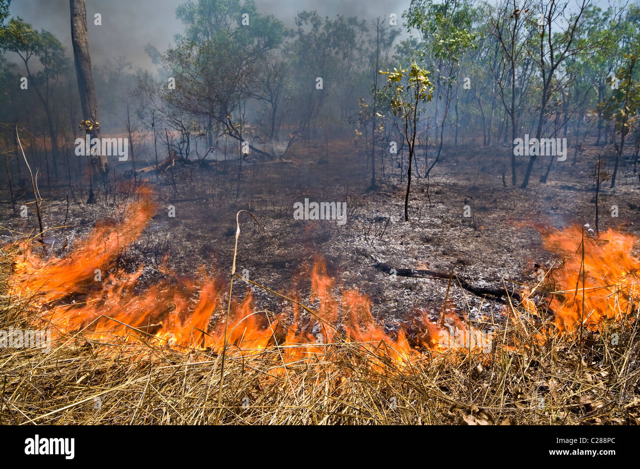 Burning grasslands hi-res stock photography and images - Alamy