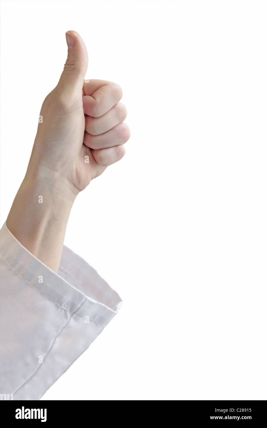 Nurse Hand Sign Botanical Classroom Hand Signal Posters EDITABLE