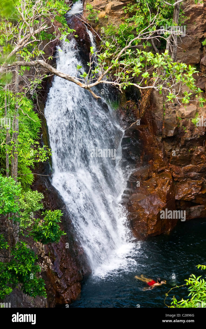 Floating forest australia hi-res stock photography and images - Alamy
