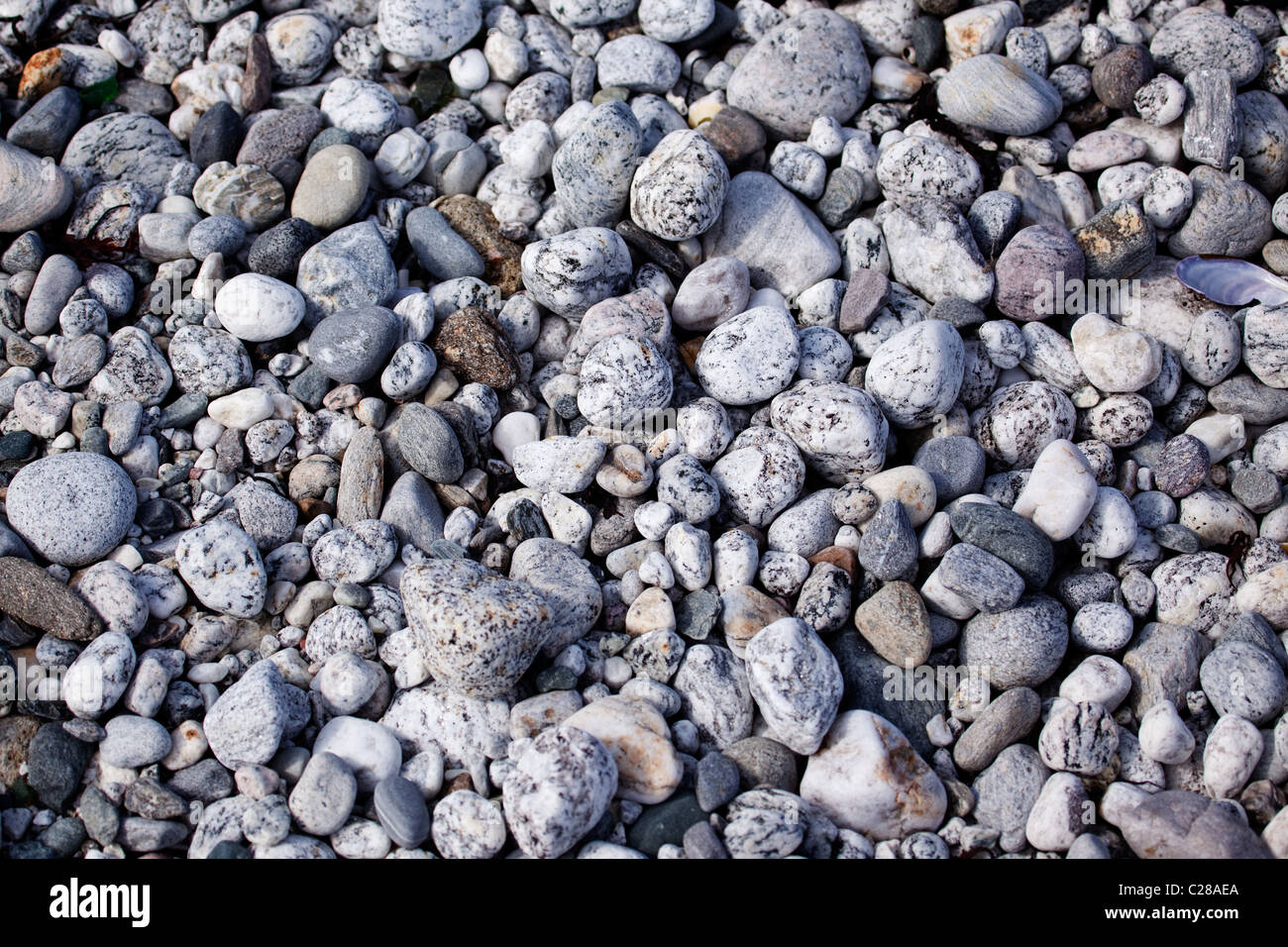 A smooth pebble surface texture background Stock Photo - Alamy