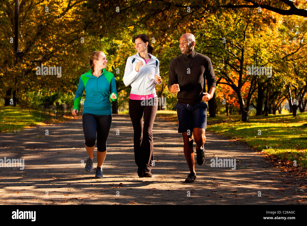 Three people jogging in the park on a beautiful fall day Stock Photo ...