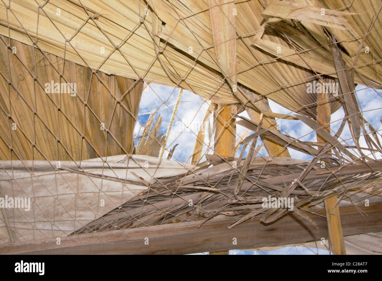 Thatched roofing, Isla Coyote (Pardito), Gulf of California, Sea of ...