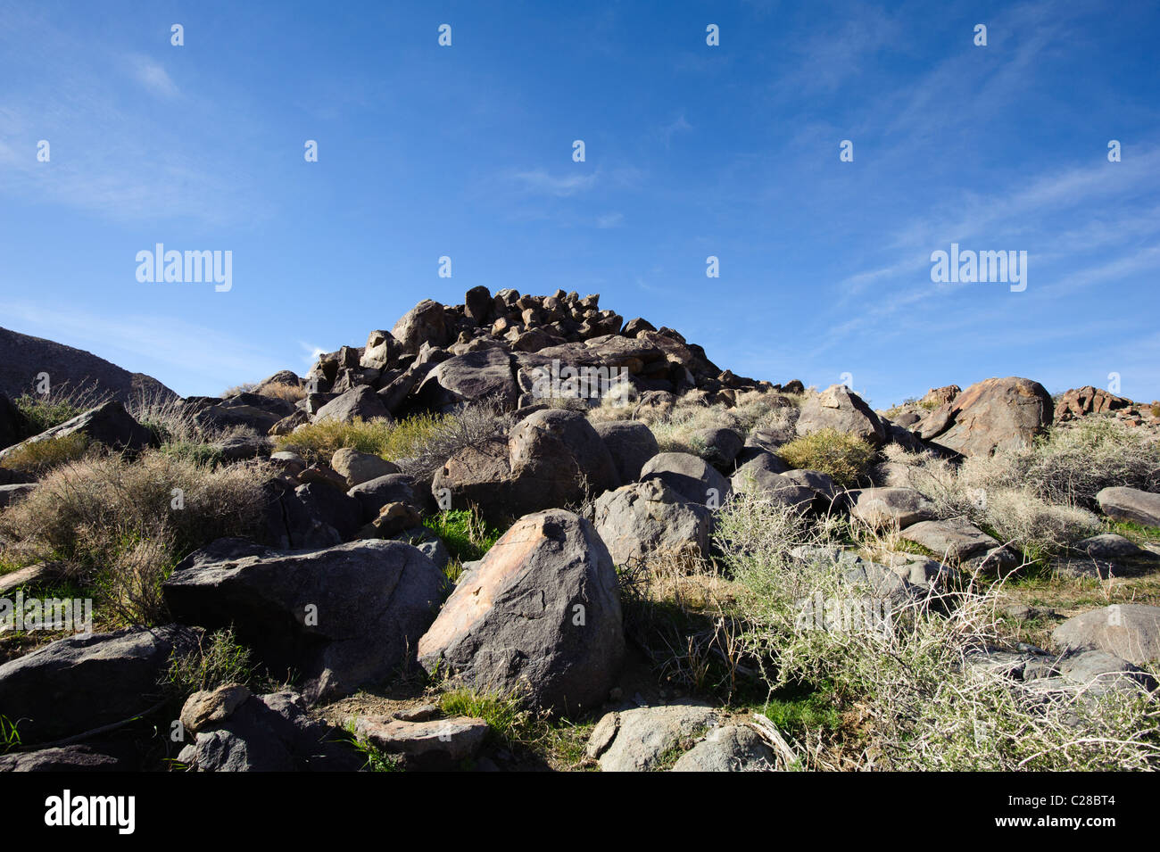 Typical Chukar habitat in the Mojave Desert Stock Photo - Alamy