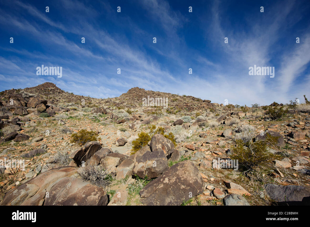 Typical Chukar habitat in the Mojave Desert Stock Photo - Alamy