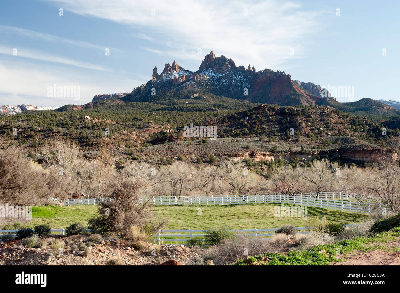 Travel zion national park hi-res stock photography and images - Alamy