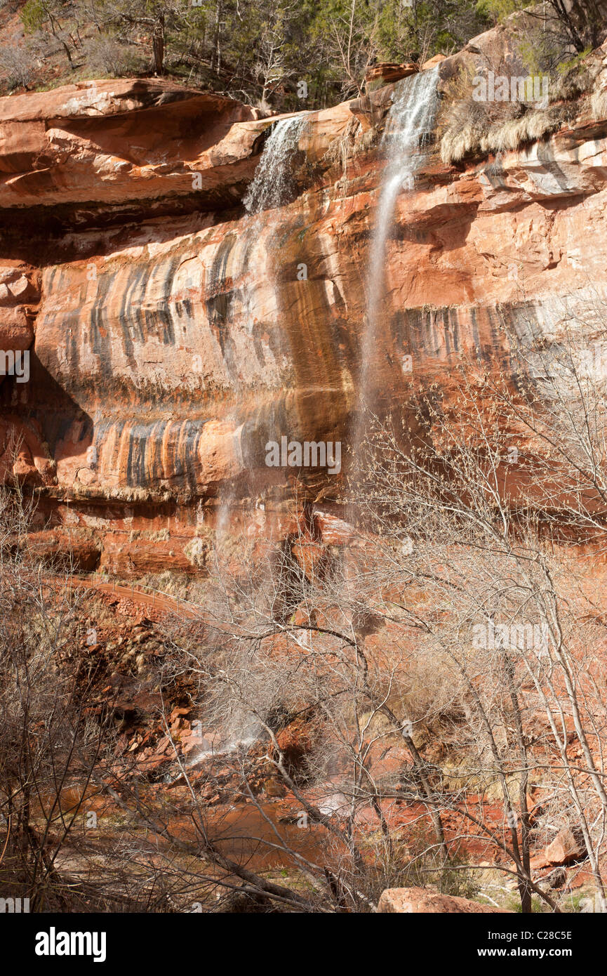 Emerald pool zion national park hi-res stock photography and images - Alamy