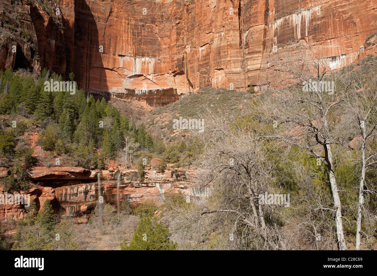 Emerald pool falls in zion hi-res stock photography and images - Alamy