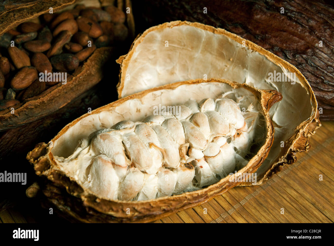 Inside Cocoa Pods