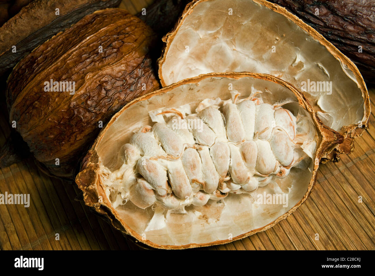 Cocoa beans husks with chocolate beans inside Theobroma fruit Stock ...
