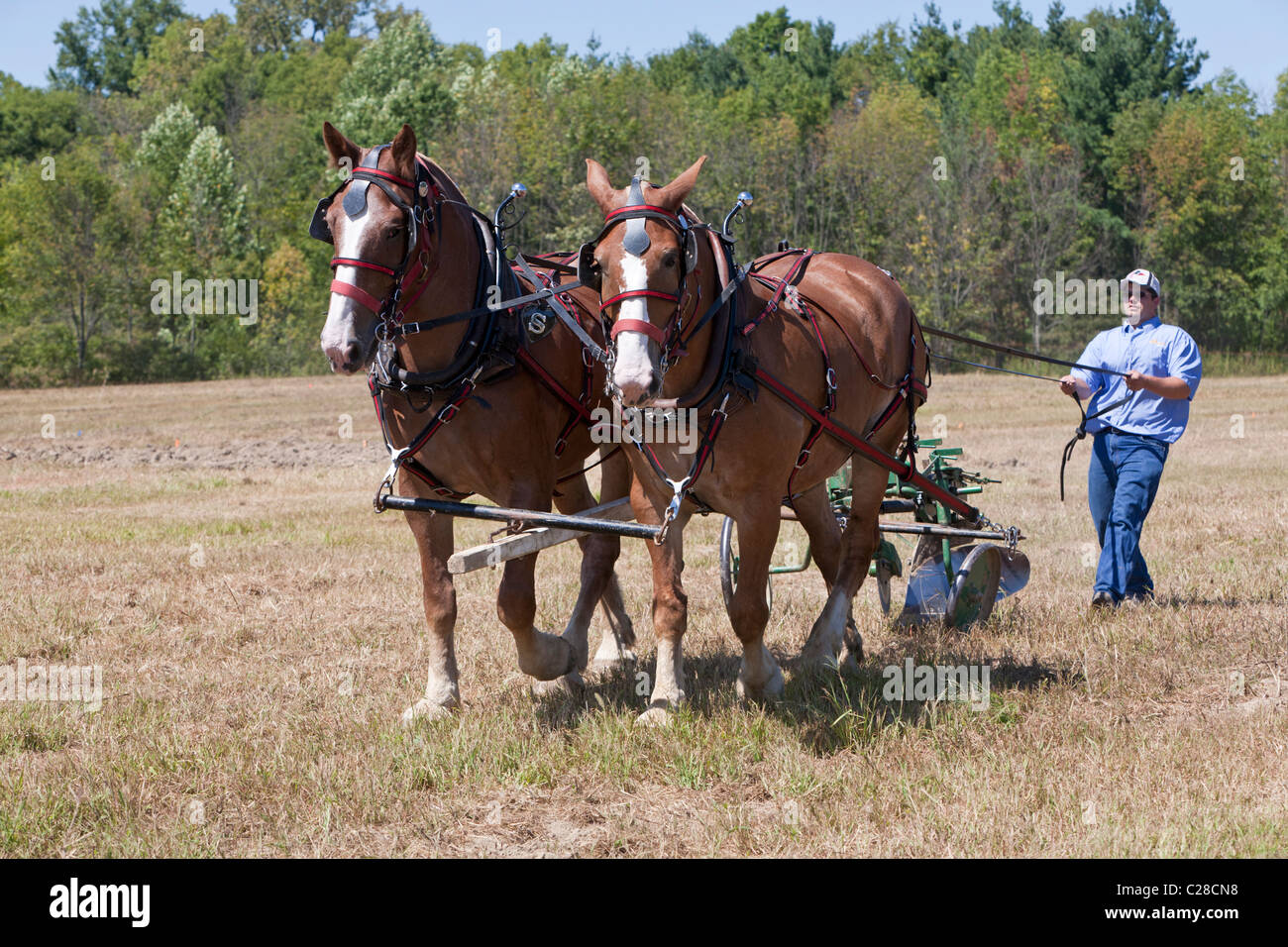 Horse plowing field hi-res stock photography and images - Alamy