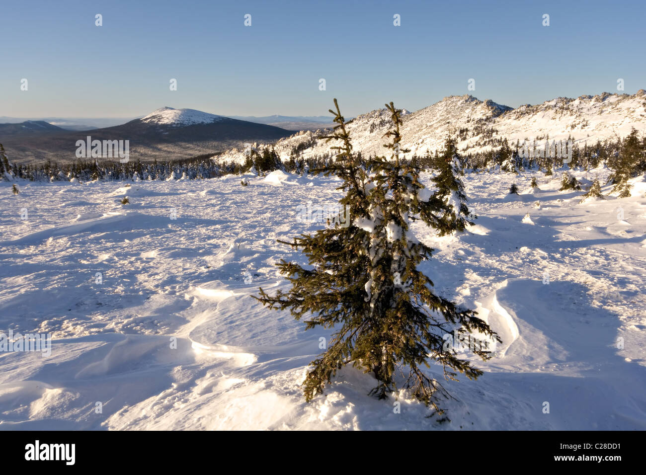 Winter snowy landscape.Wild nature in Russia. National park Taganay ...