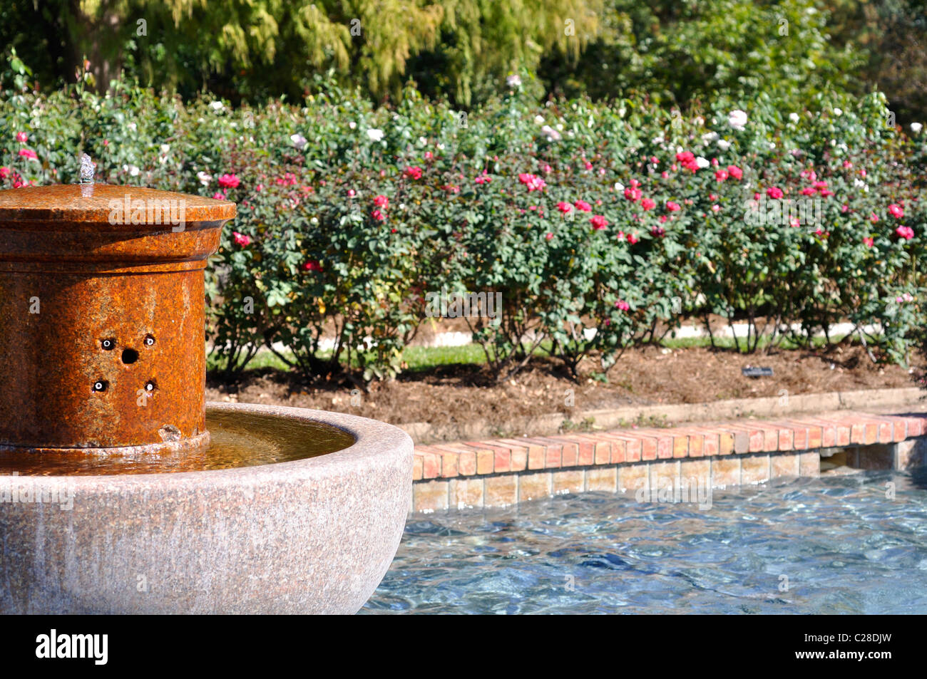 Rose Garden, Tyler, Texas - largest rose garden in the US Stock Photo ...