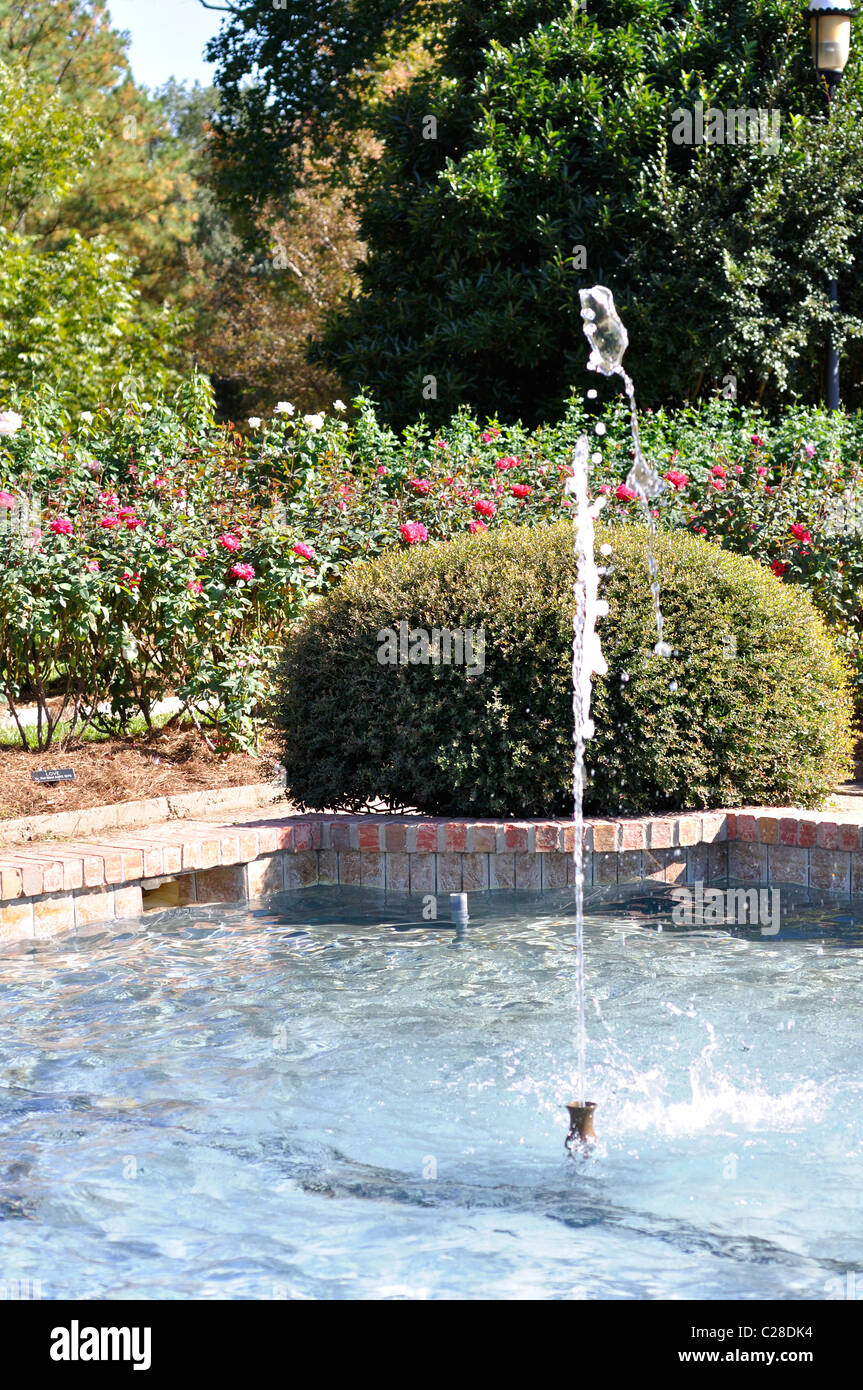 Rose Garden, Tyler, Texas - largest rose garden in the US Stock Photo ...