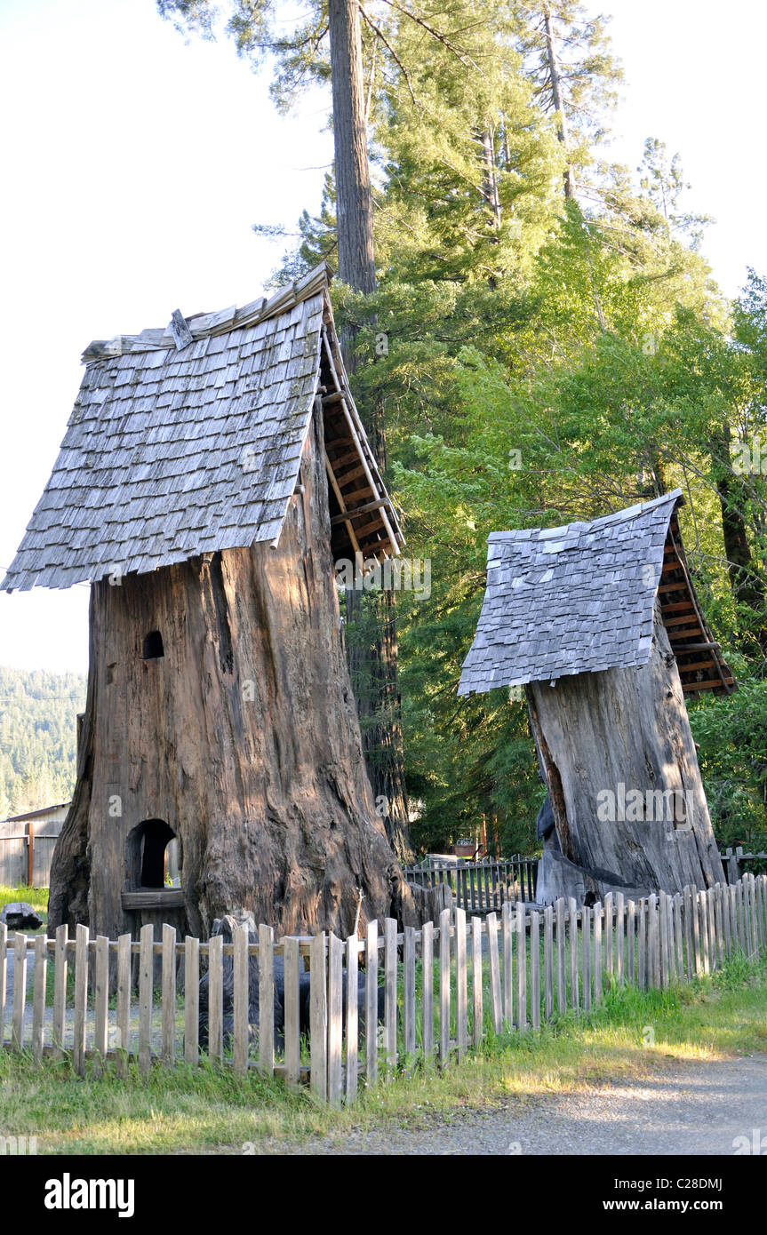 Redwoods tree house hi-res stock photography and images - Alamy
